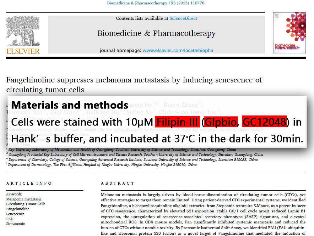 Filipin III | Cholesterol-conjugated fluorescent antibiotic | GlpBio